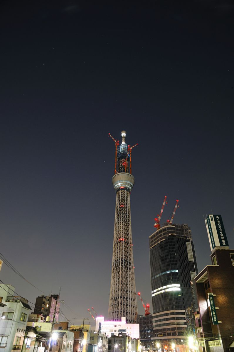 SKY TREE | GANREF