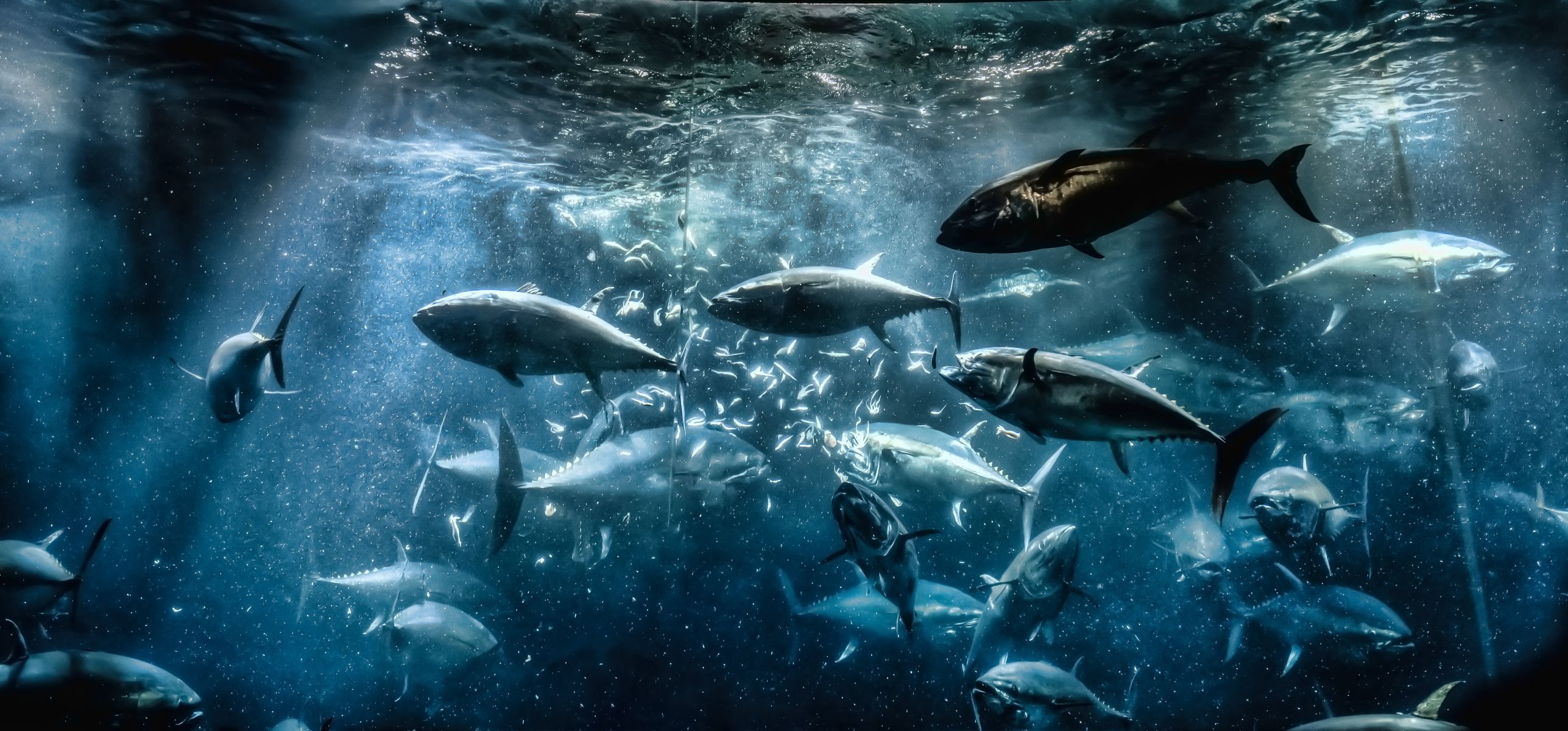 extremely powerful lunch | GANREF