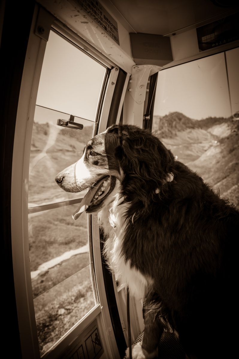 Sightseeing | GANREF