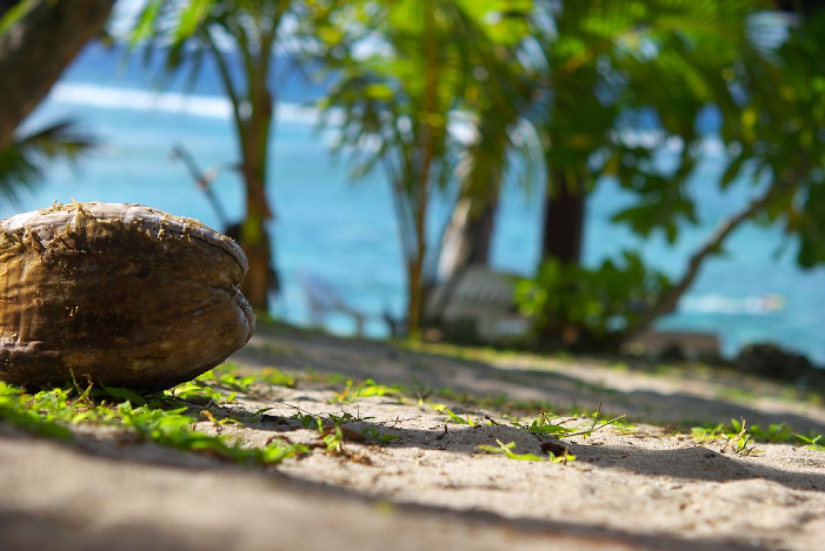 Governor Beach | GANREF