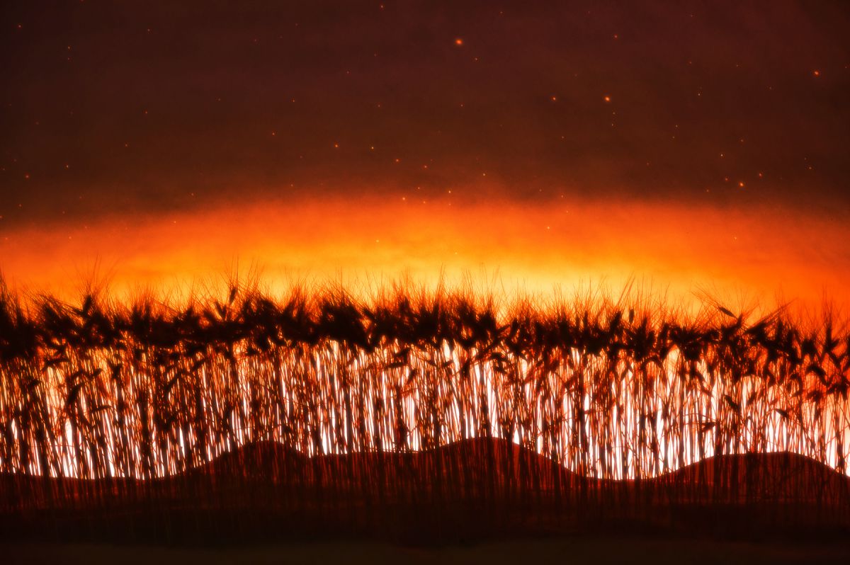 Desert Song | GANREF