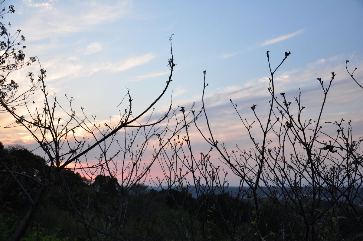 top of the mountain | GANREF