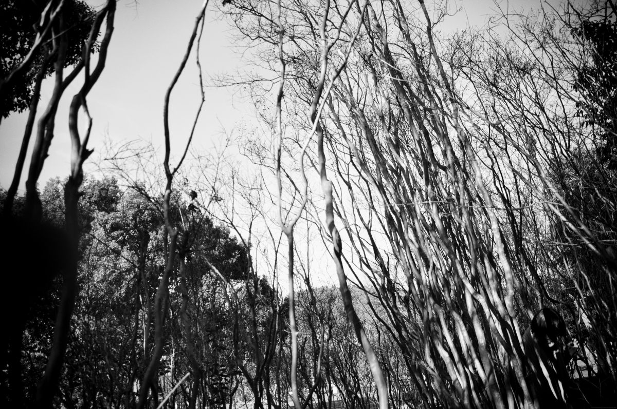 hide and seek | GANREF