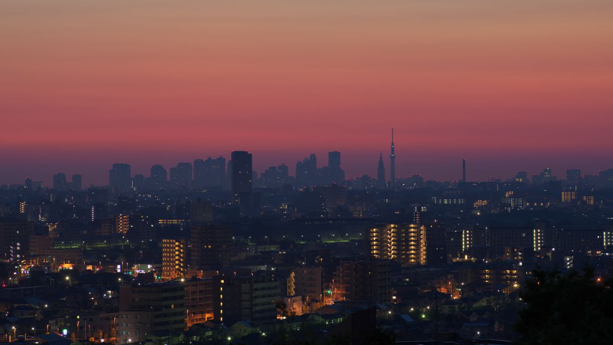 Morning glow！ | GANREF