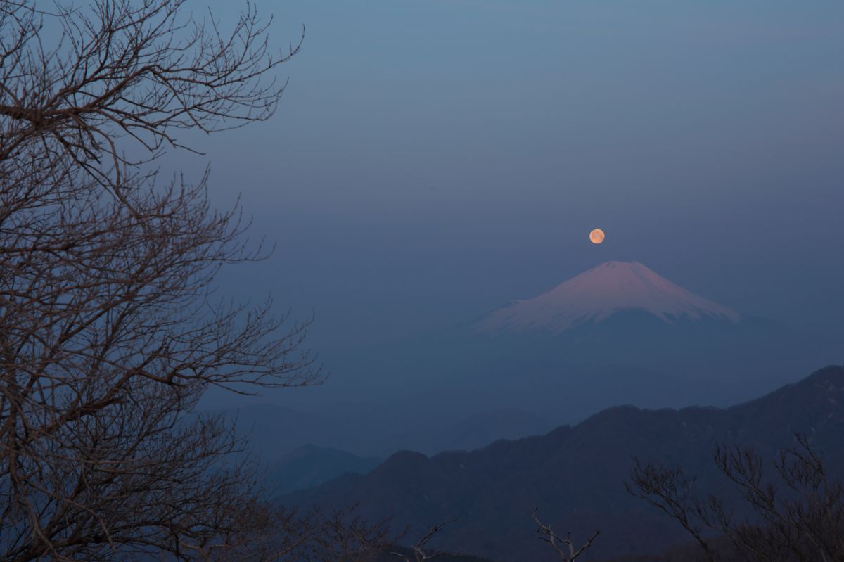 Moonlight Dance | GANREF