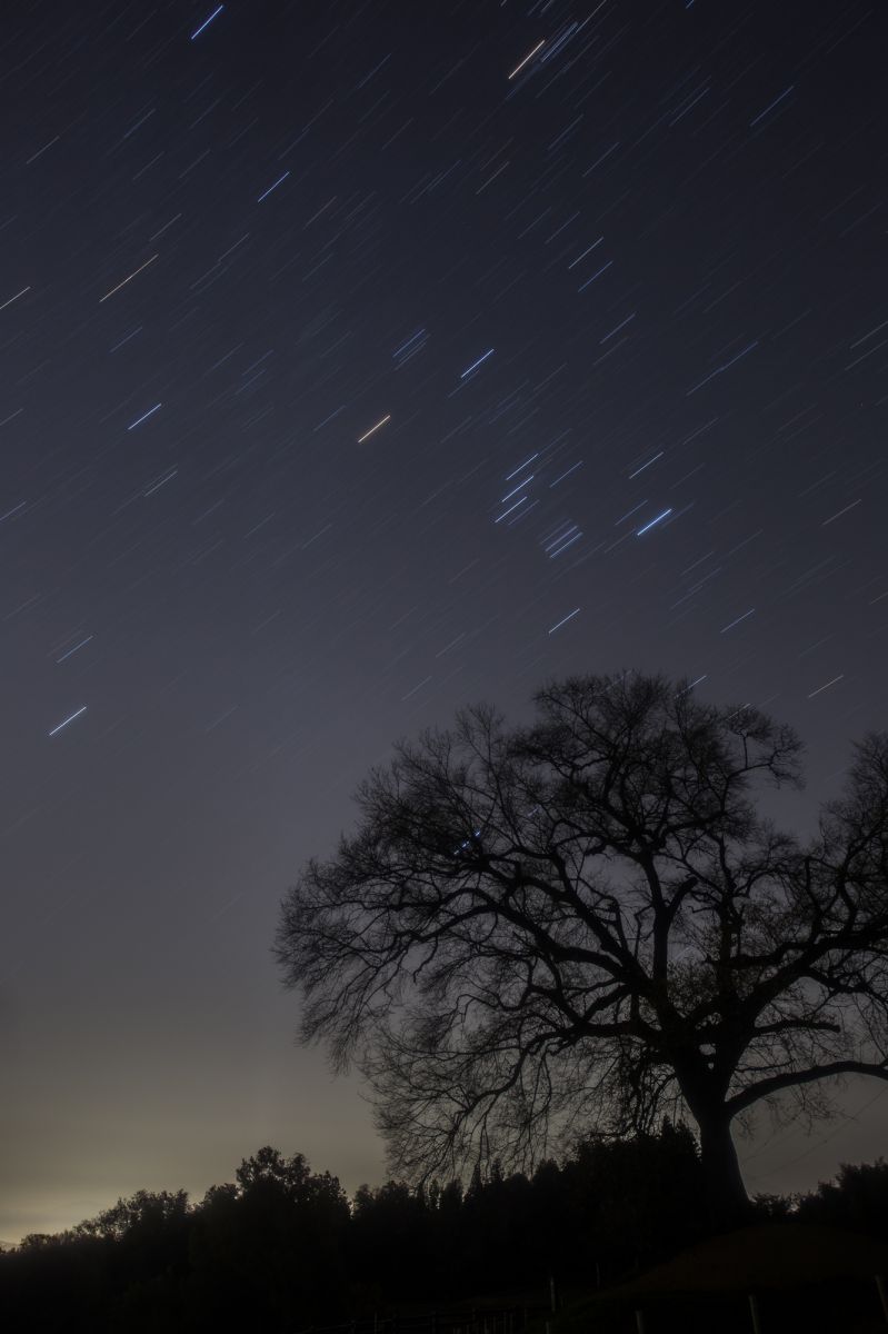 Sakura and Orion（Long-time） | GANREF