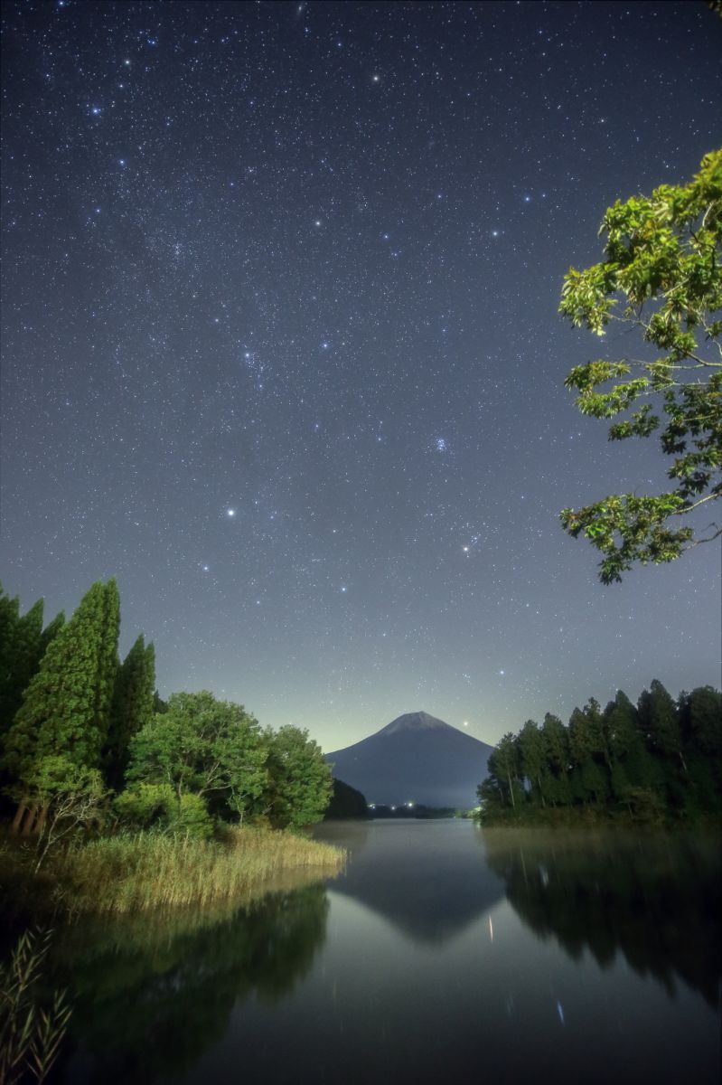 Footsteps of winter | GANREF