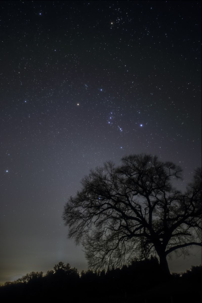 Sakura and Orion（High-sensitivity） | GANREF