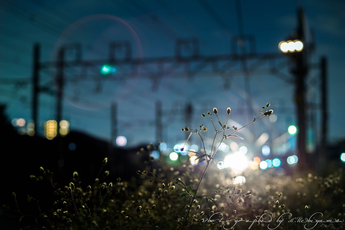 夜はまぶしくて | GANREF