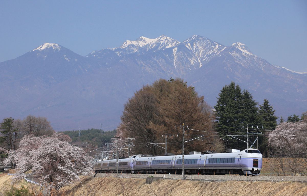SPRING AZUSA | GANREF