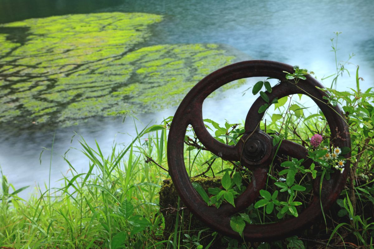 自然の調和 | GANREF