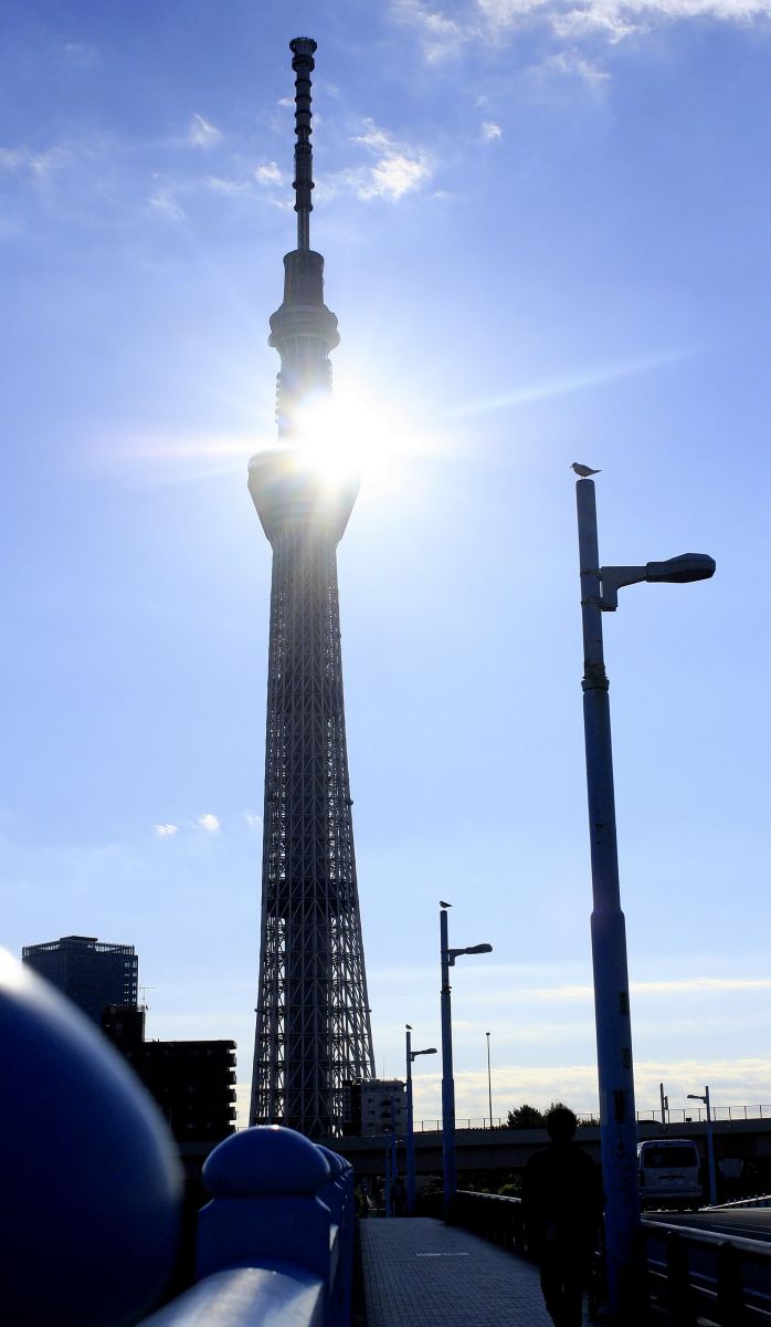 Diamond東京sky tree(リクエストに答えまして若干ｱﾝﾀﾞｰ風） | GANREF