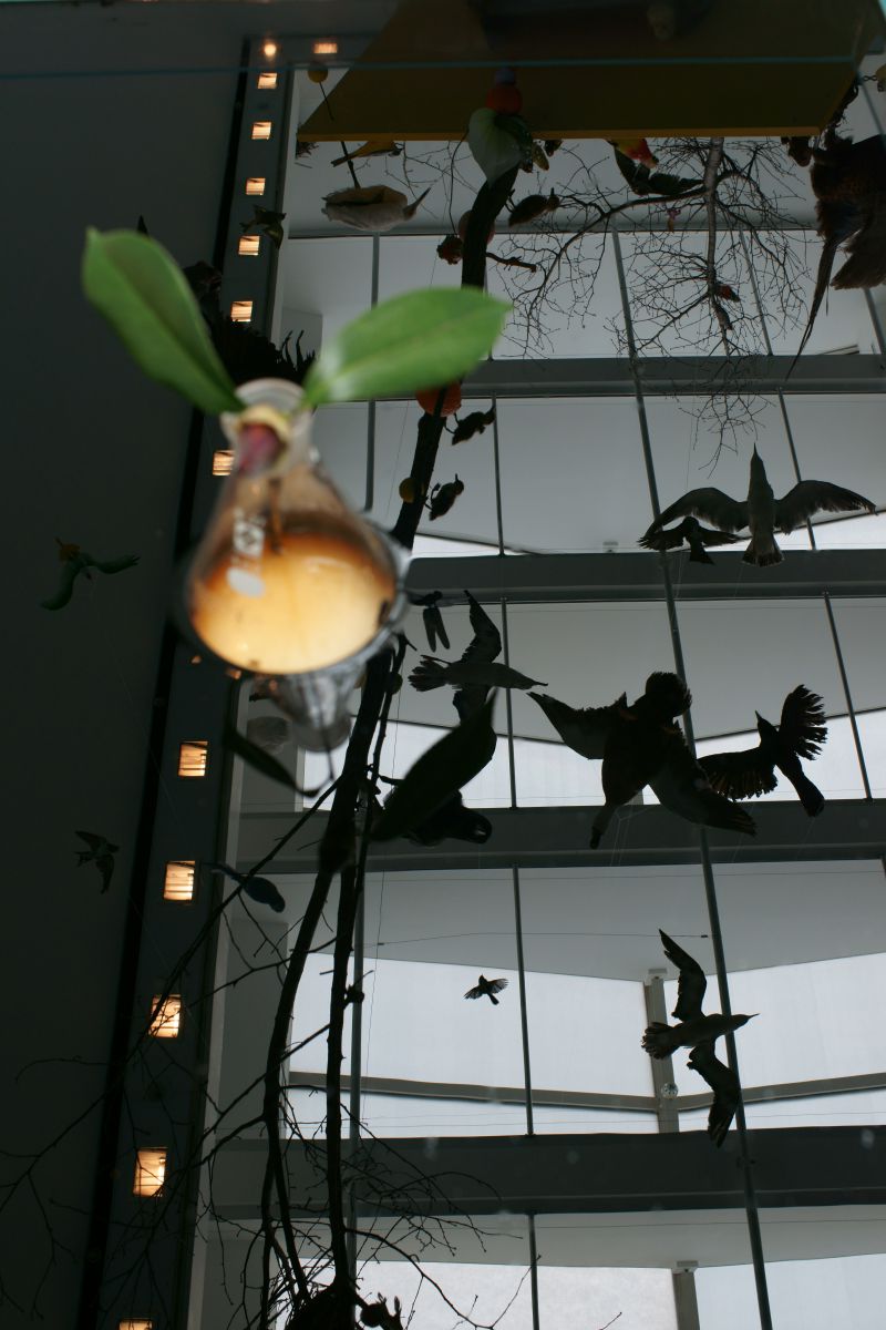 廃油に映る影 | GANREF