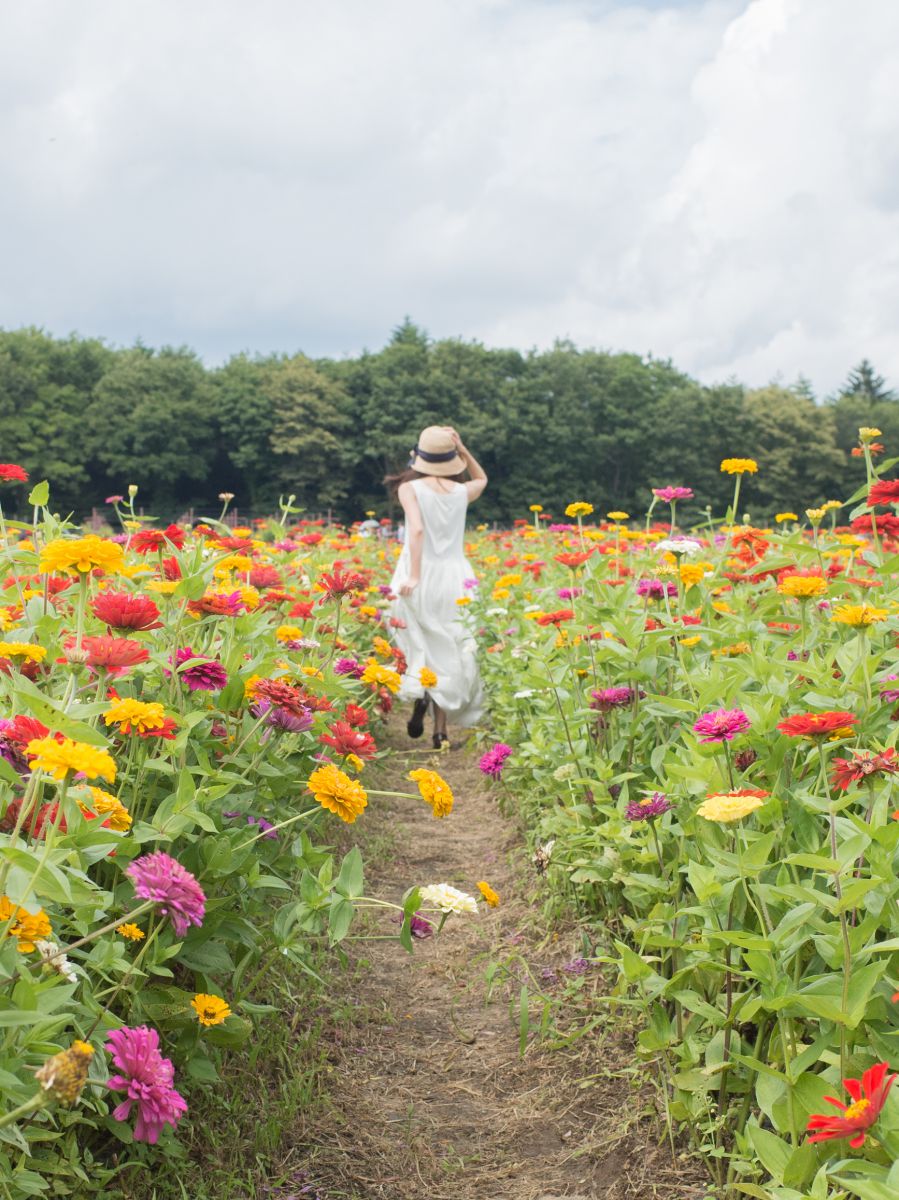 Good bye summer | GANREF