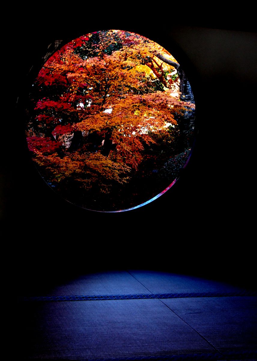 悟りの窓 | GANREF