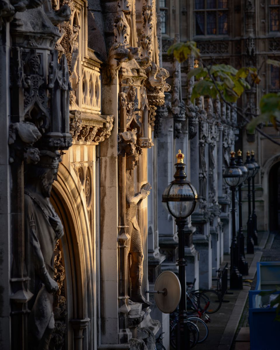 Stand still | GANREF