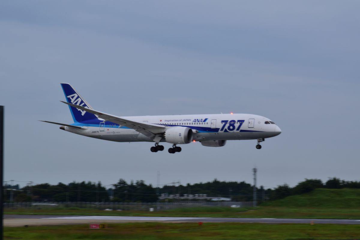 ANA 787 | GANREF
