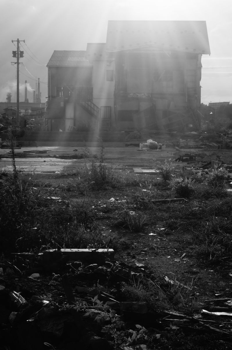 レンズの味 | GANREF