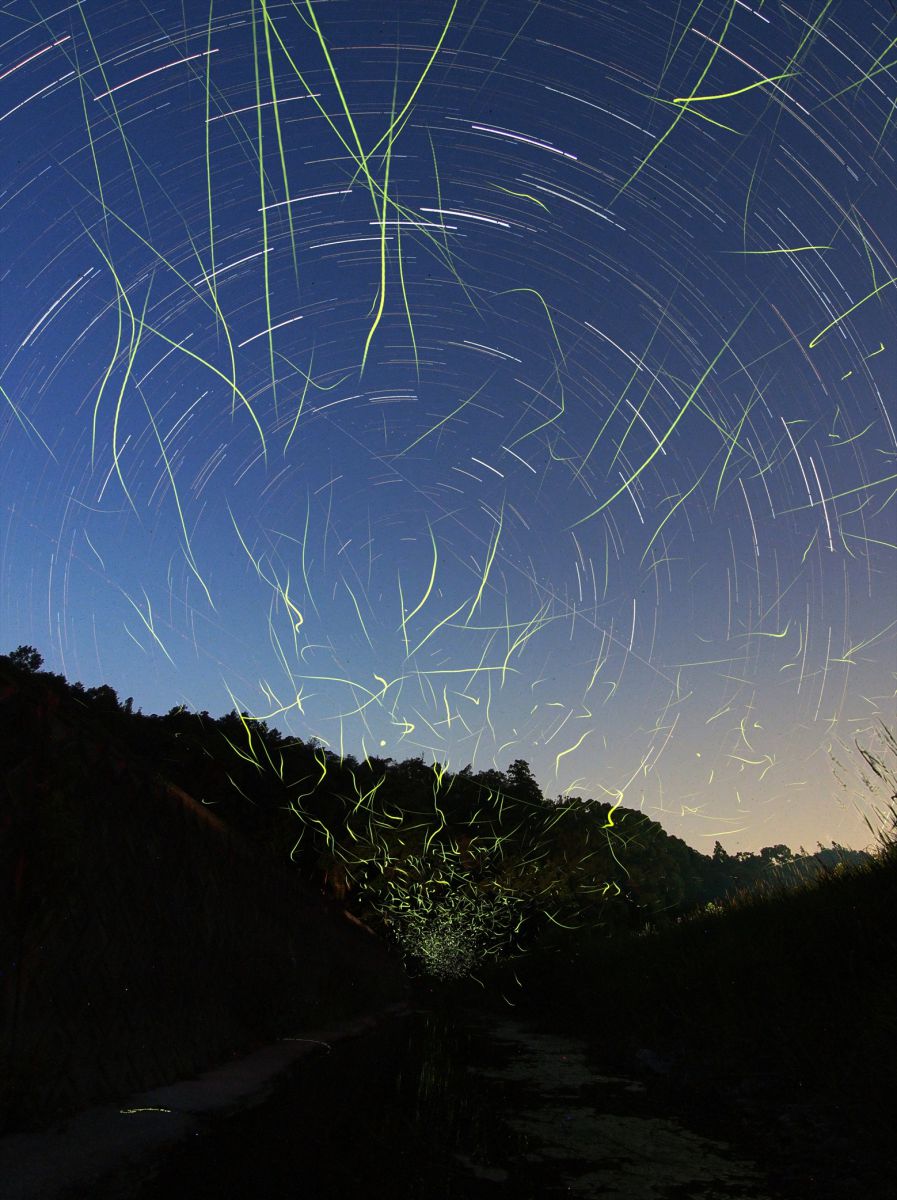 舞って周って | GANREF