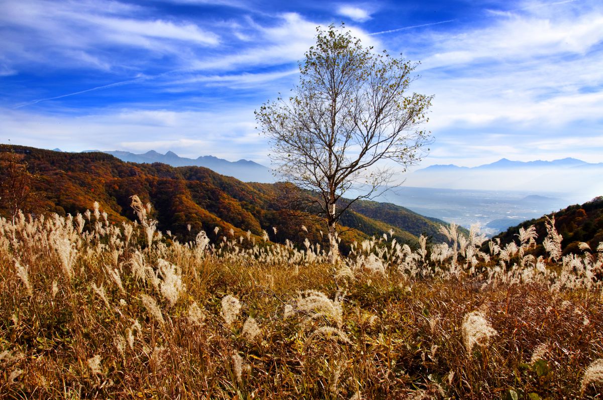 Passing season | GANREF