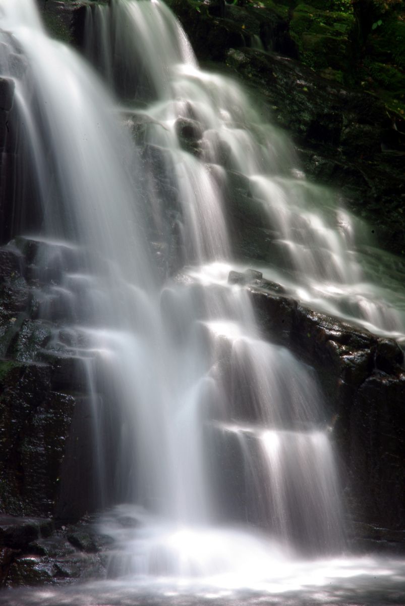 Shining Water | GANREF