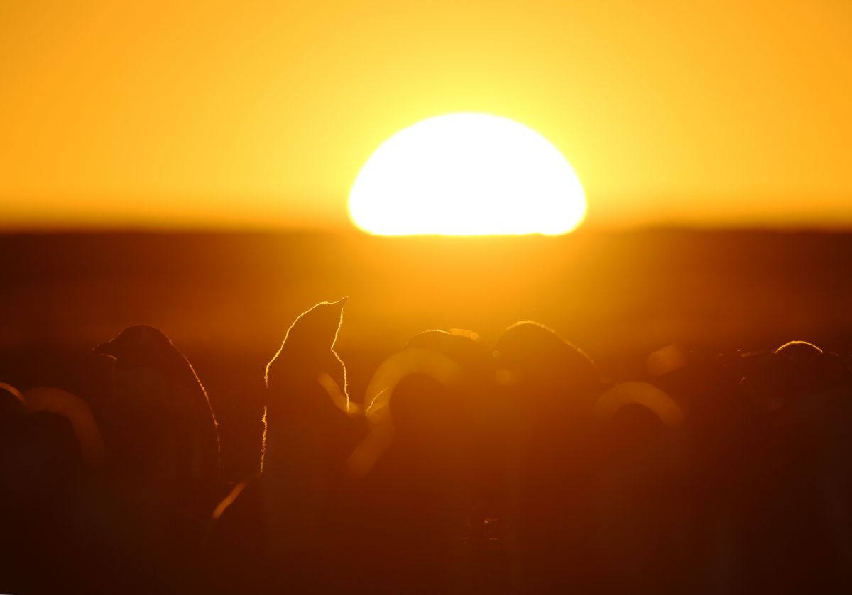 Very Late Sunset | GANREF