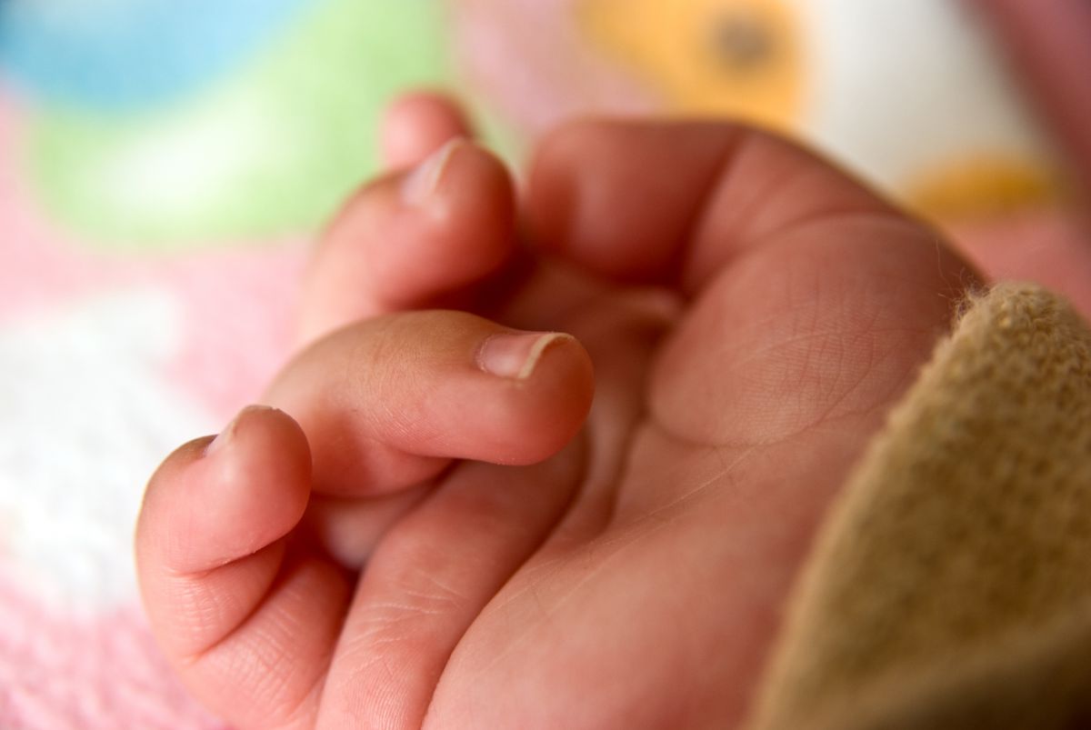 Baby Finger | GANREF