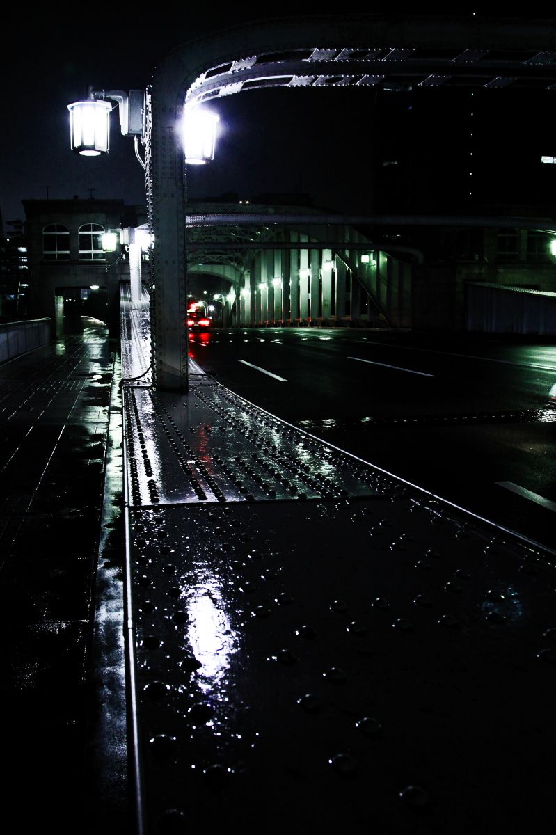 RAINY BRIDGE | GANREF