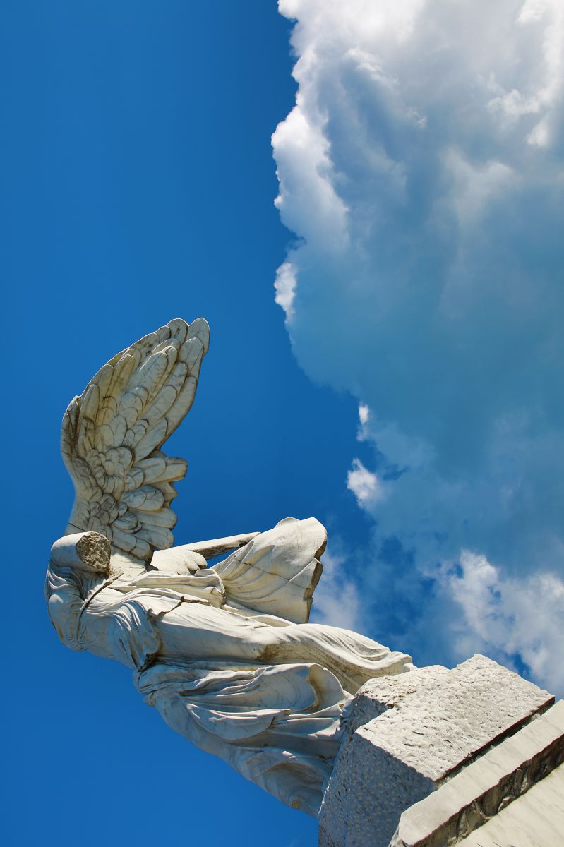 cloudy wing | GANREF