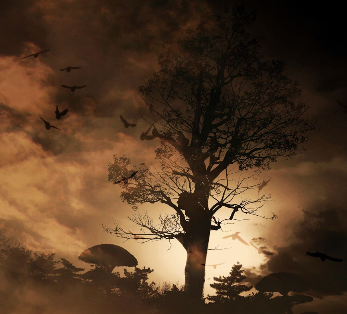 Burning sky | GANREF