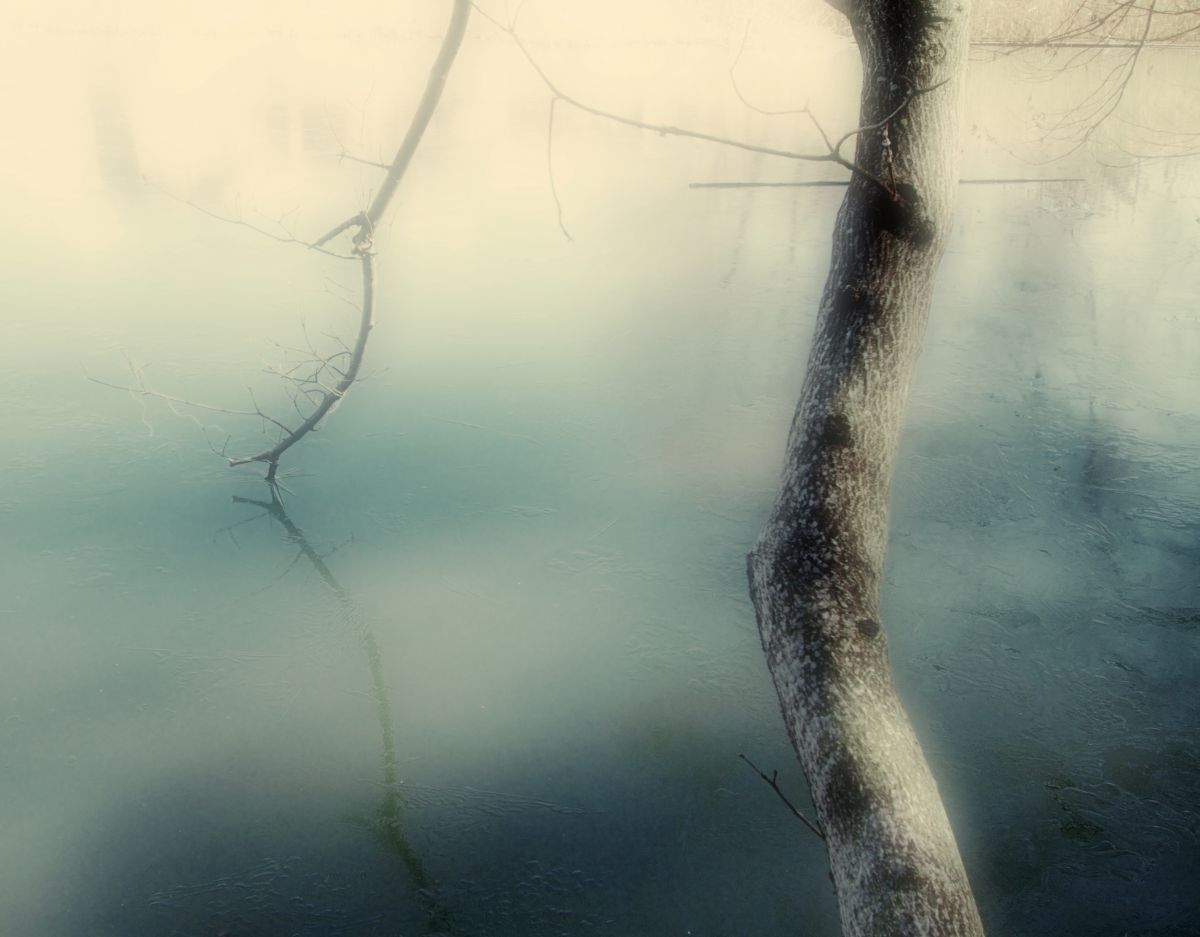 Frozen pond in fog | GANREF
