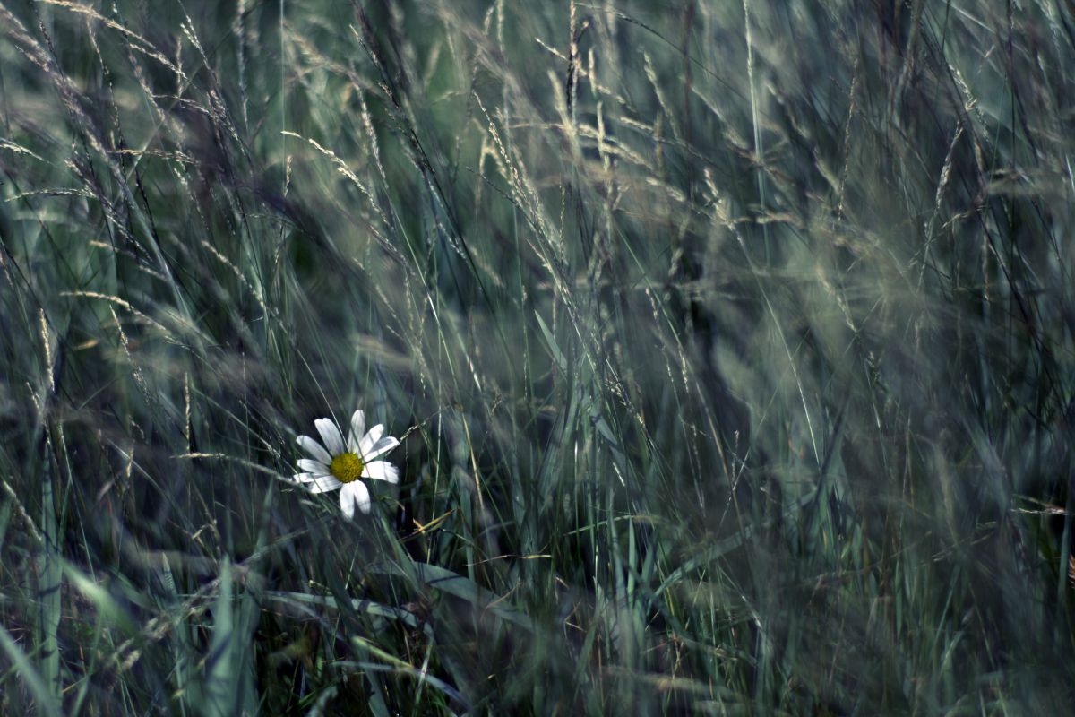 Inside of light and wind | GANREF