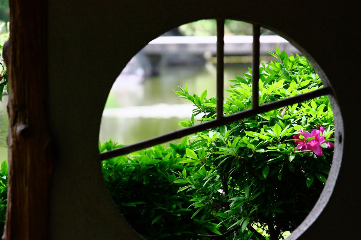 Round window | GANREF