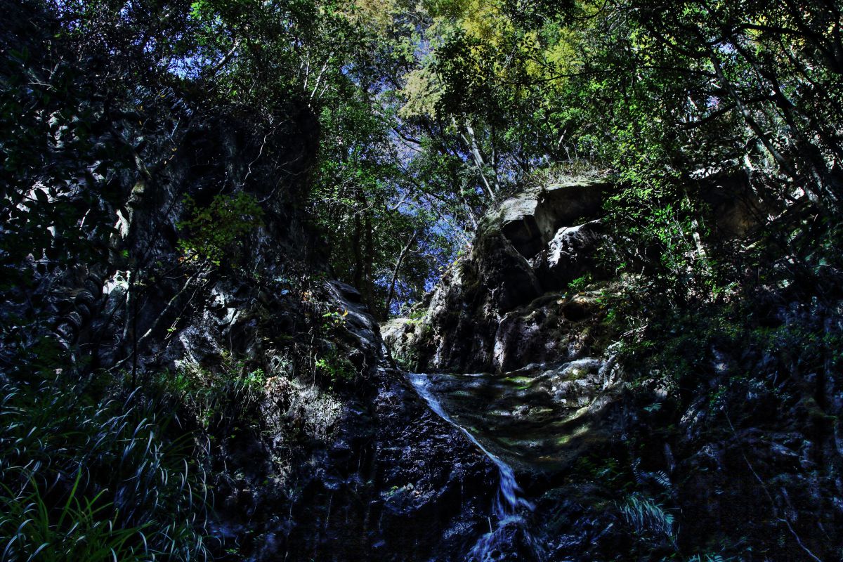 Climbing limit | GANREF