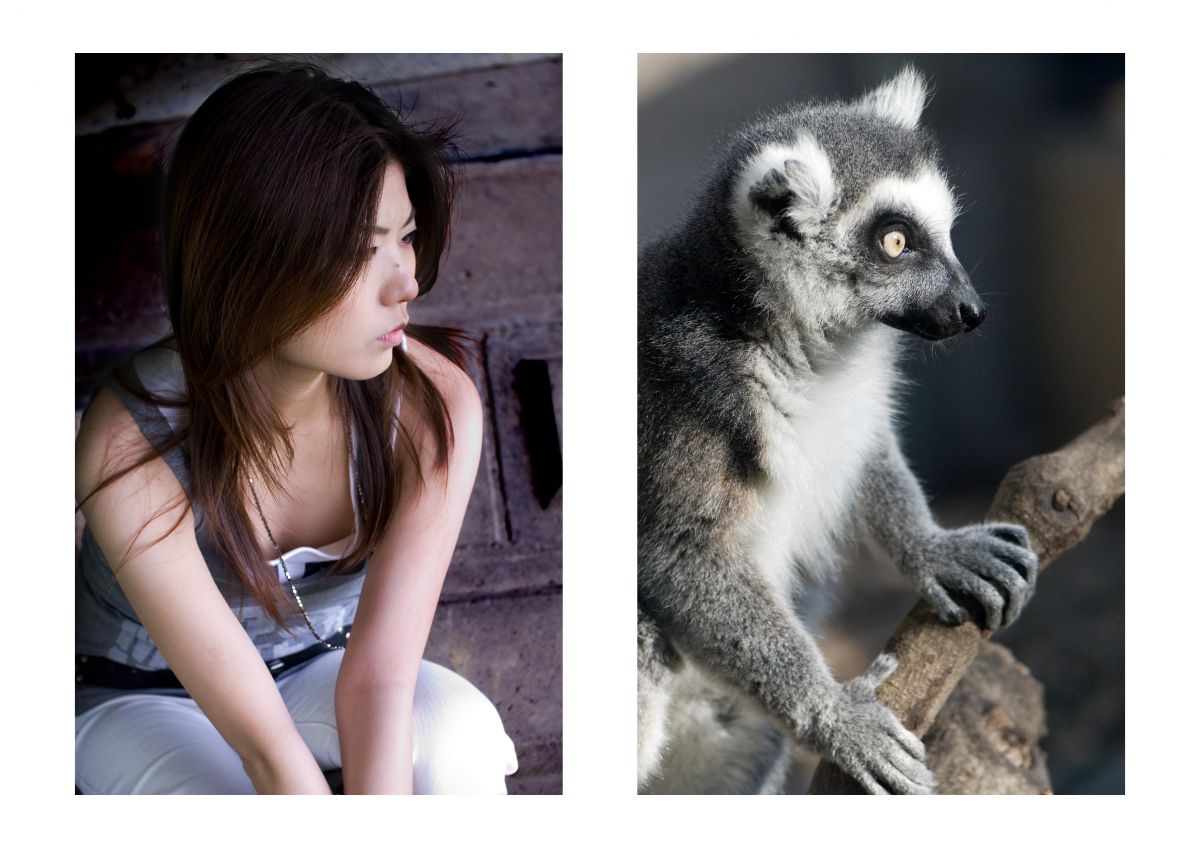 人間図鑑 | GANREF