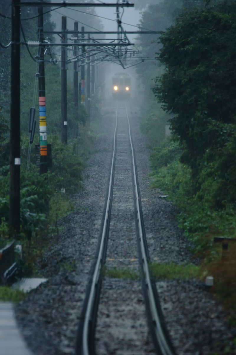 "It's raining cats and dogs." | GANREF