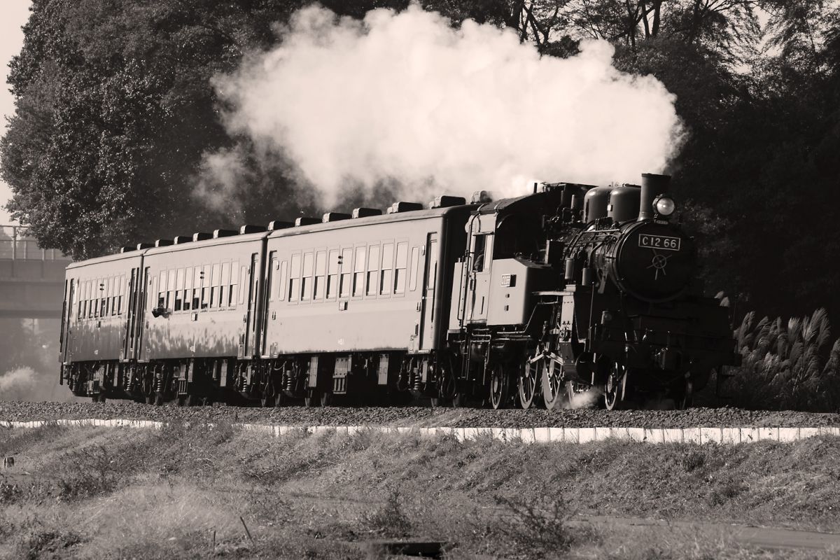 "Steam" Train | GANREF