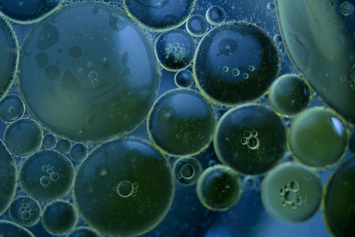 Bubble World Ⅲ | GANREF