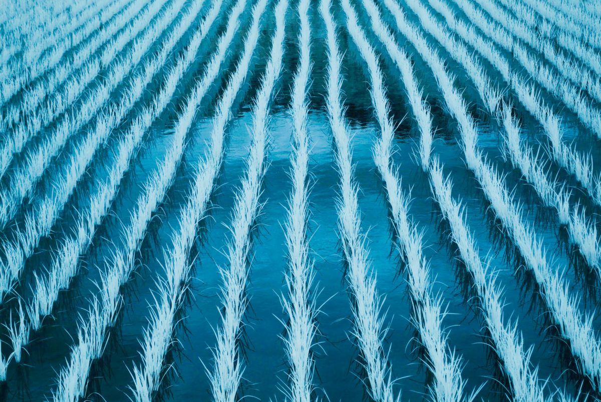 Radial Blue | GANREF