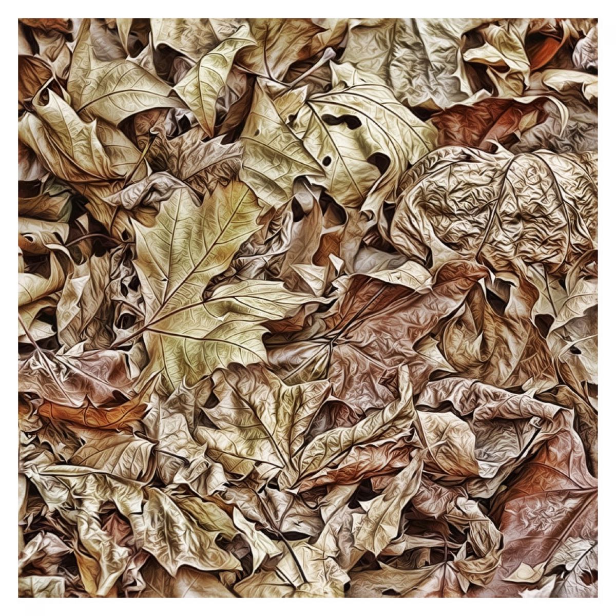 Fallen leaves | GANREF