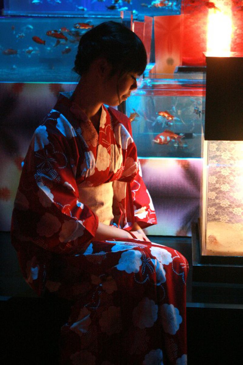 red goldfish *** | GANREF