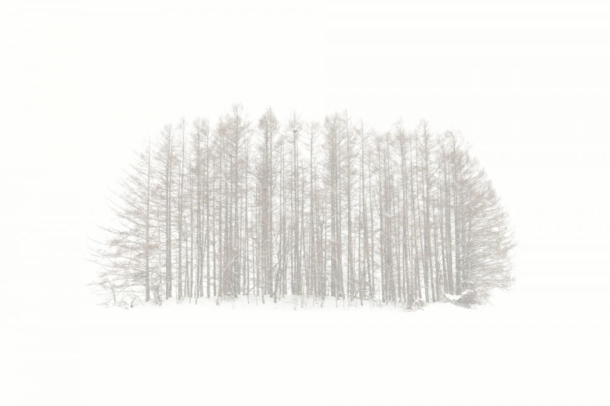 「Small groups」 | GANREF