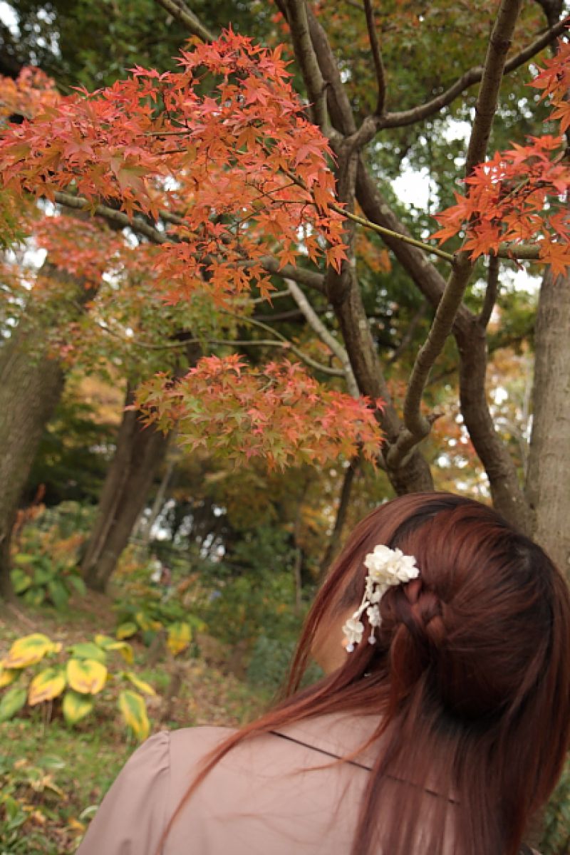 紅葉ロケ5 | GANREF