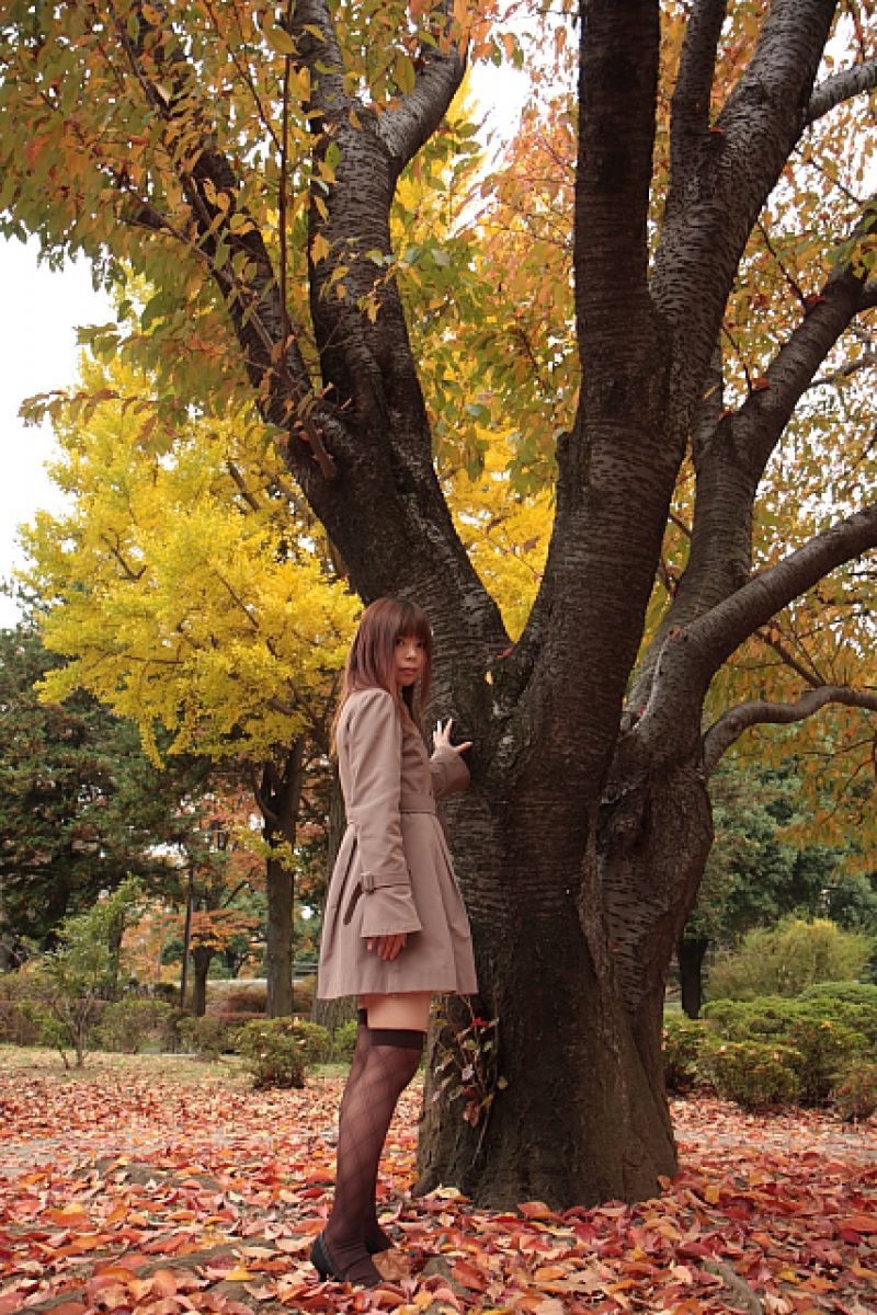 紅葉ロケ1 | GANREF