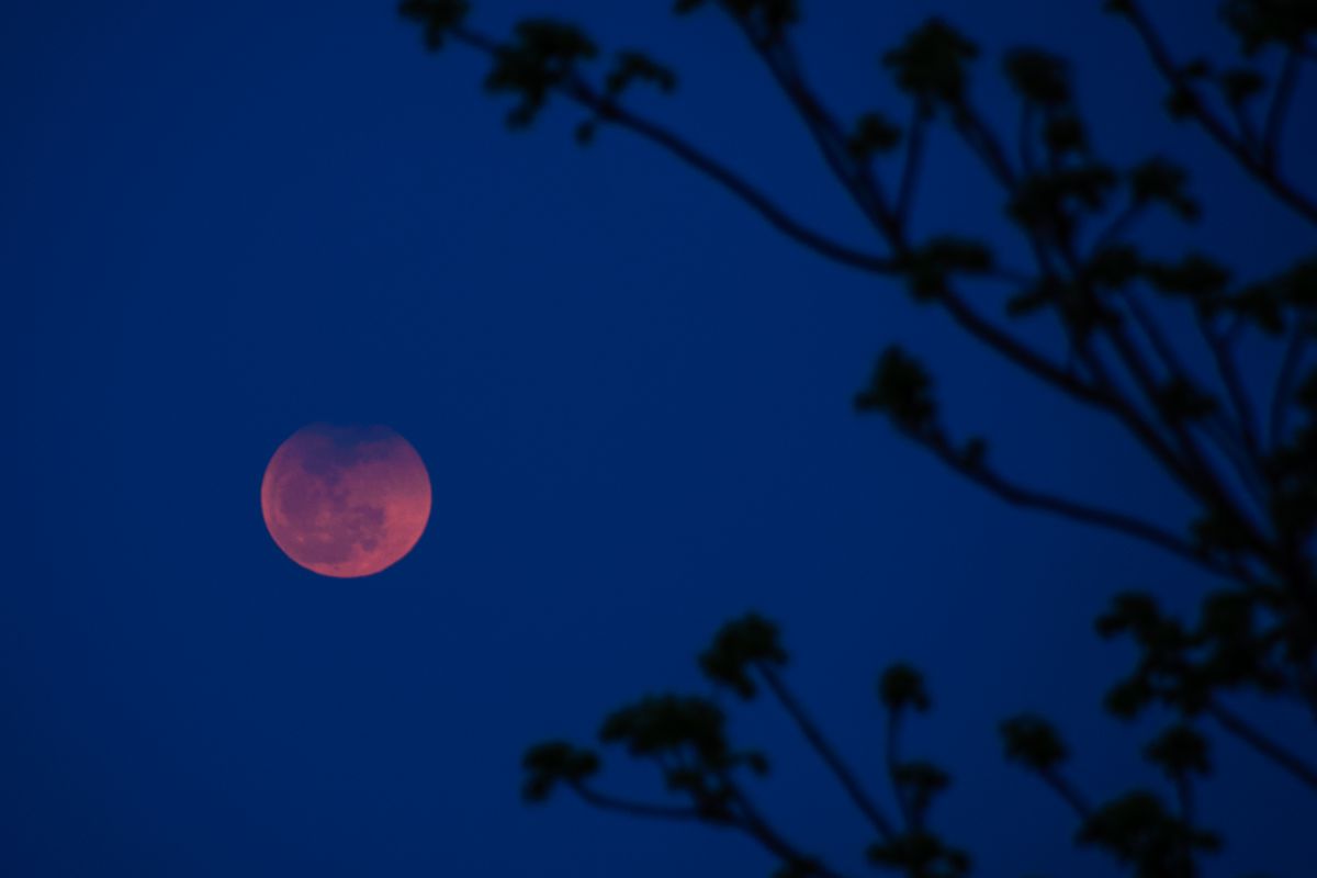 月食－eclipse－ | GANREF