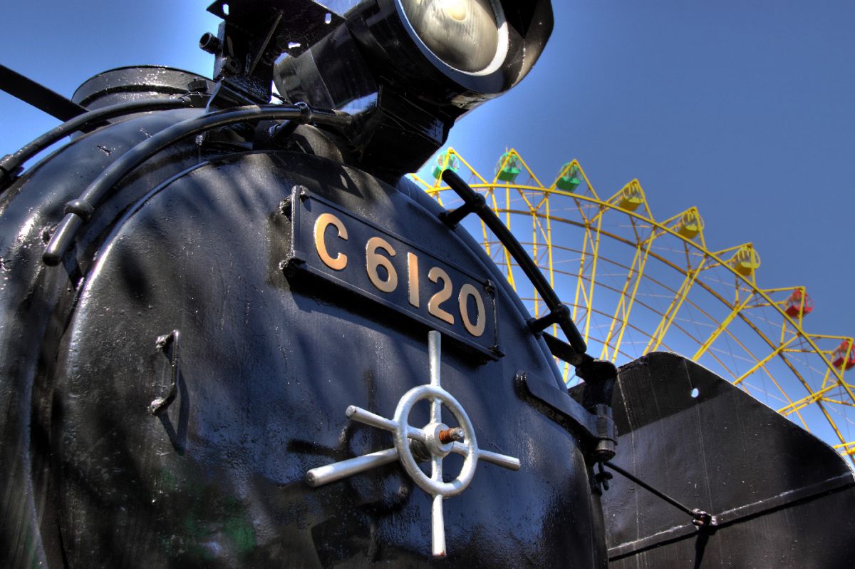 C61と向日葵 | GANREF