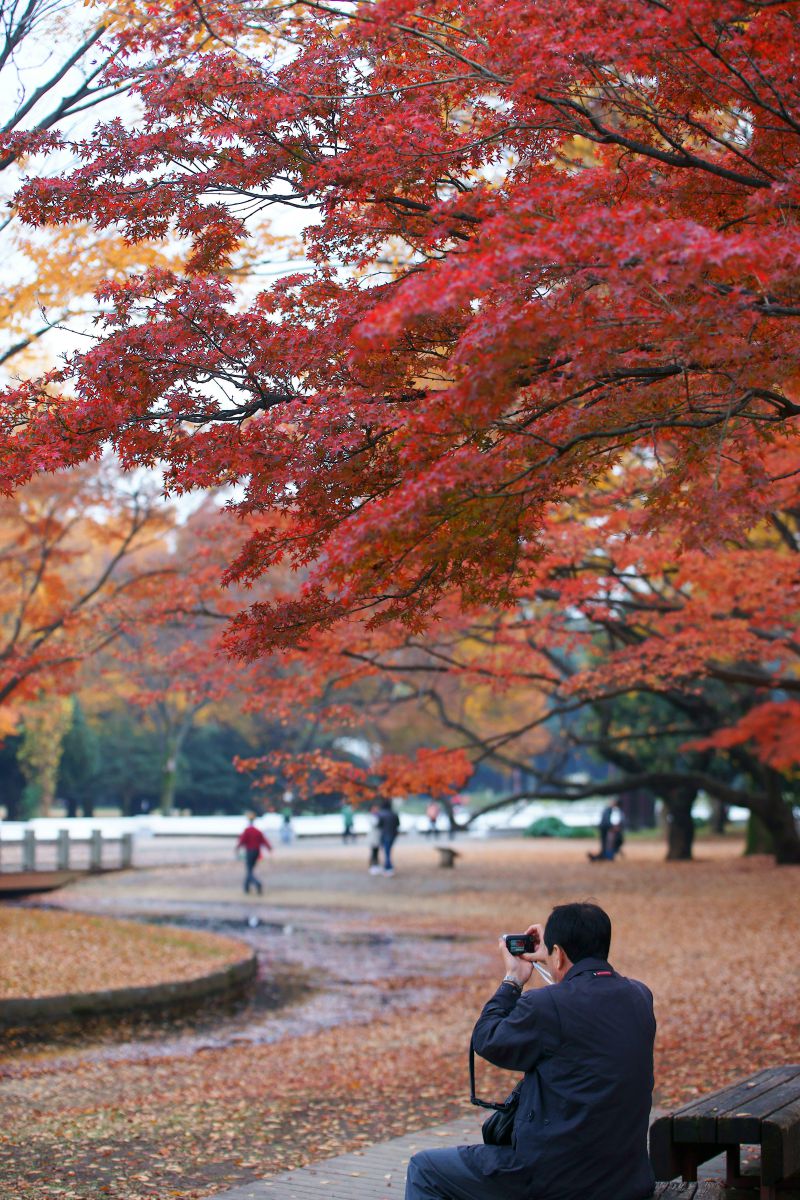 みんな夢中 | GANREF