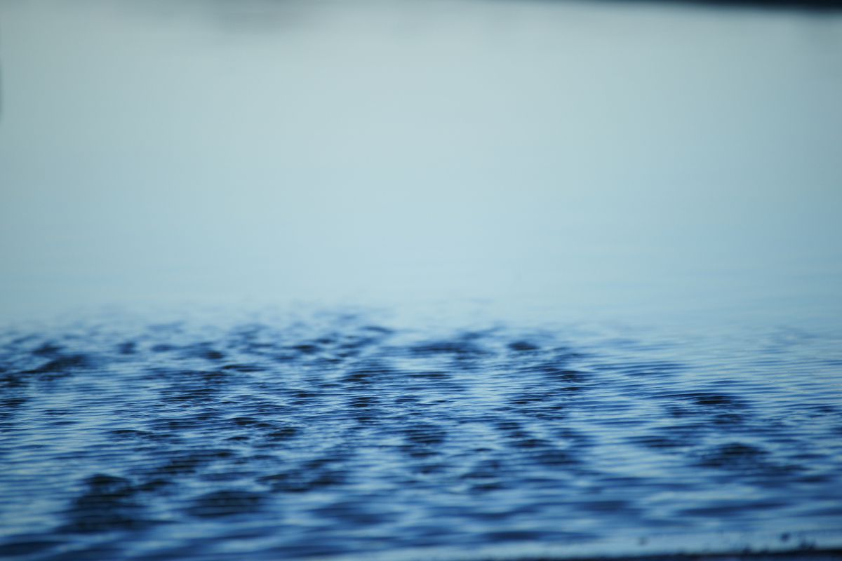 Surface of the water | GANREF