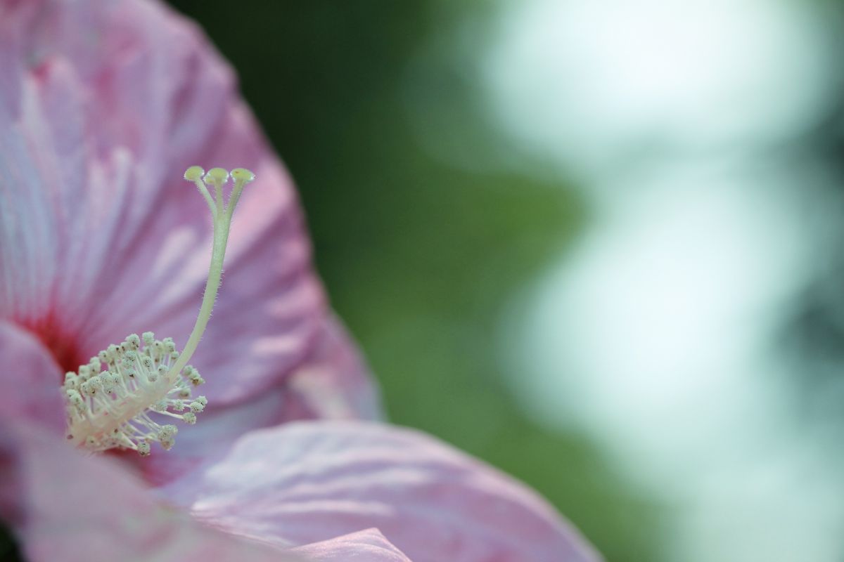 Space Contact | GANREF