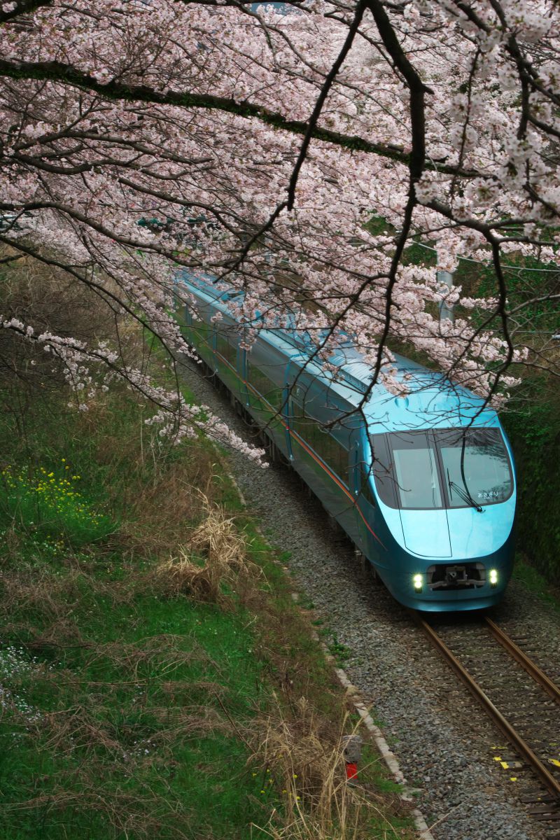 春のあさぎり号 | GANREF